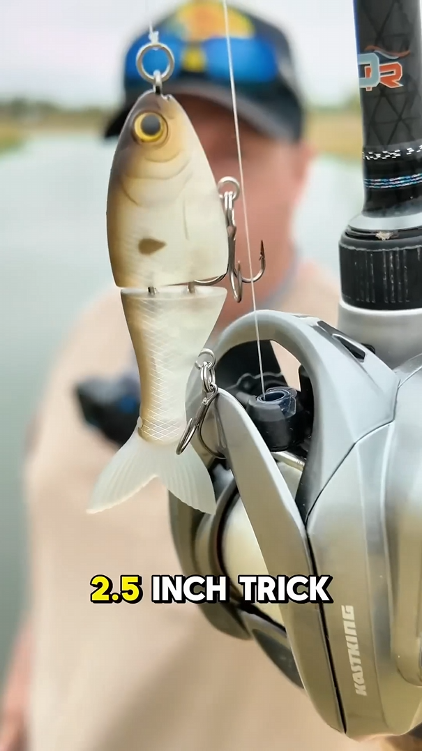Bucca 2.5” trick shad review: The ultimate BFS fishing lure?