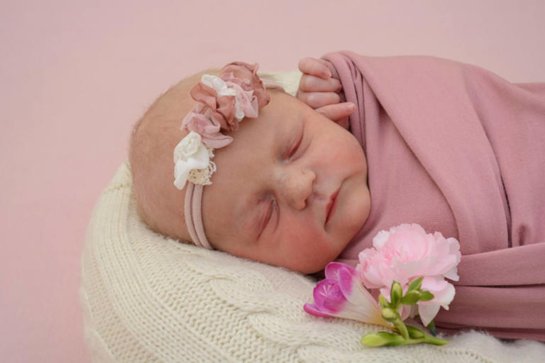 Willkommen, liebe Babys, in Ostprignitz-Ruppin