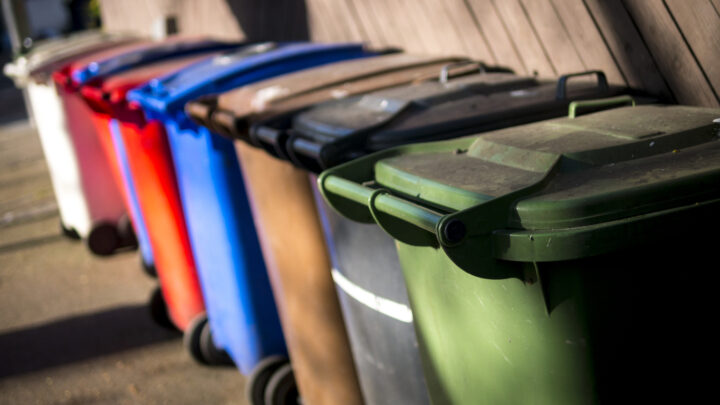 What to do when your neighbour uses your bin without asking
