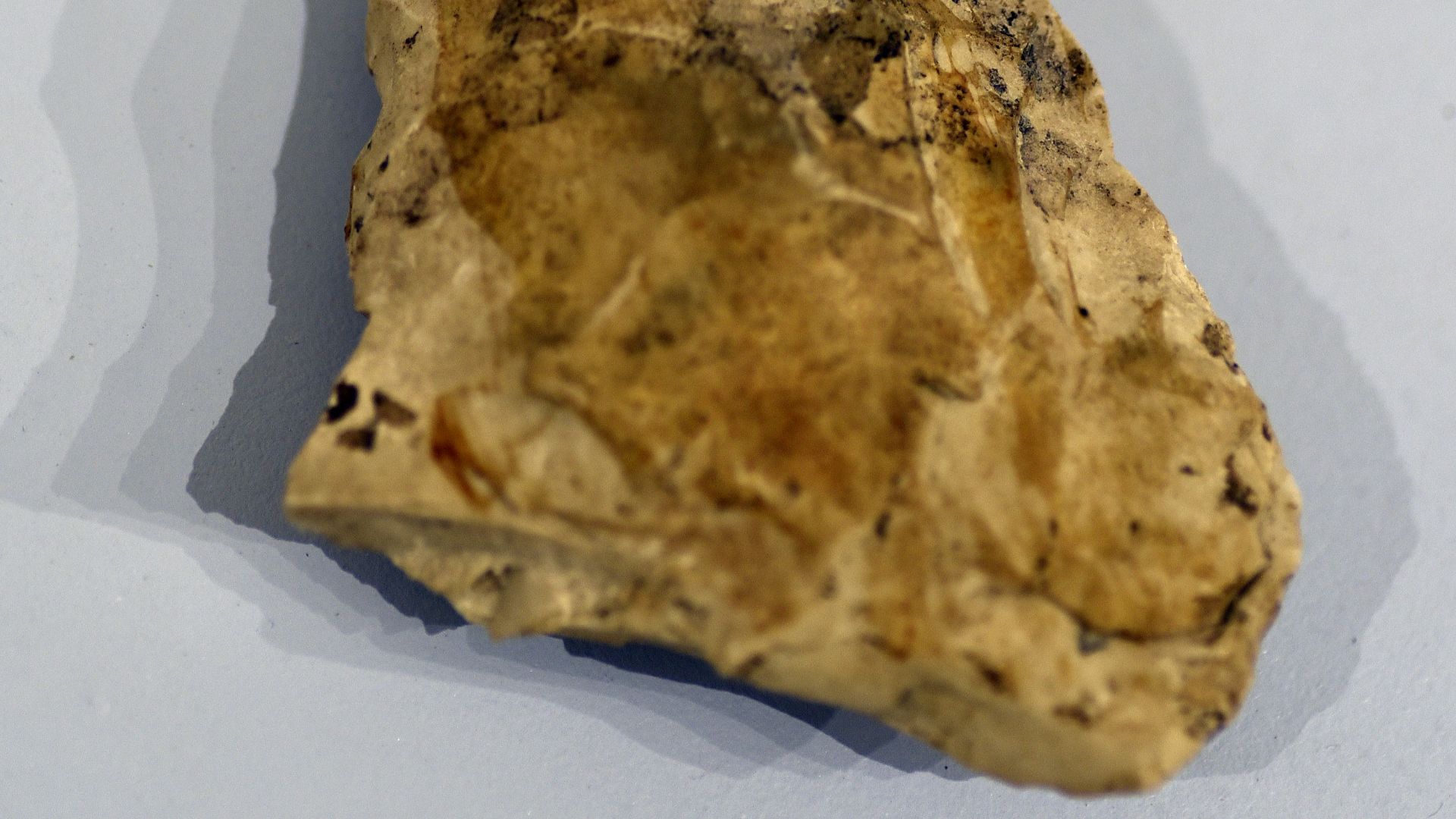 20 Stone Age technologies that were smarter than they look