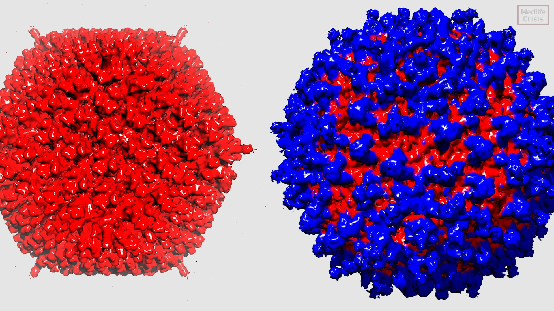 The ghost viruses lurking in your DNA