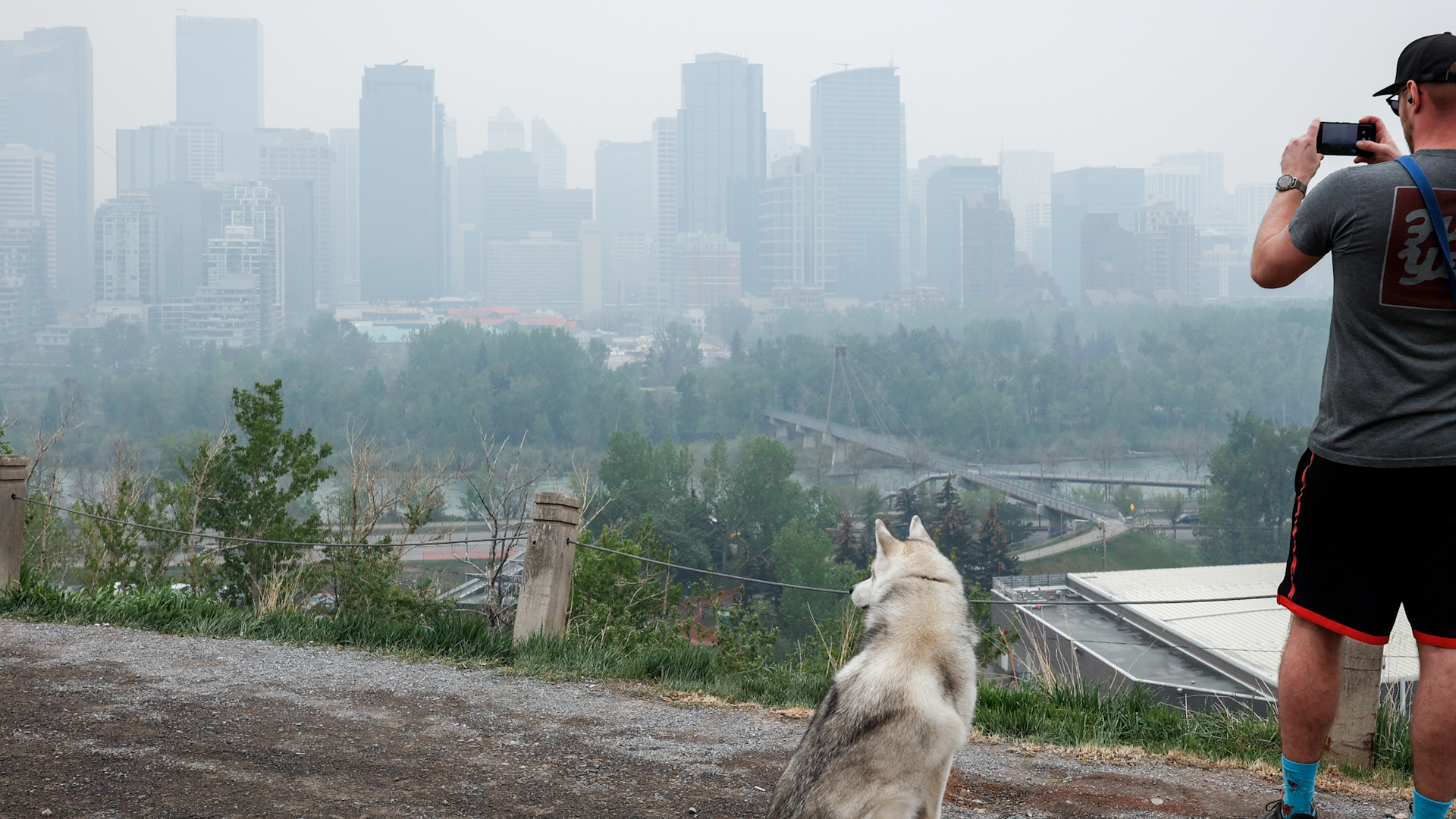 Air quality alerts to become routine without climate action, University ...