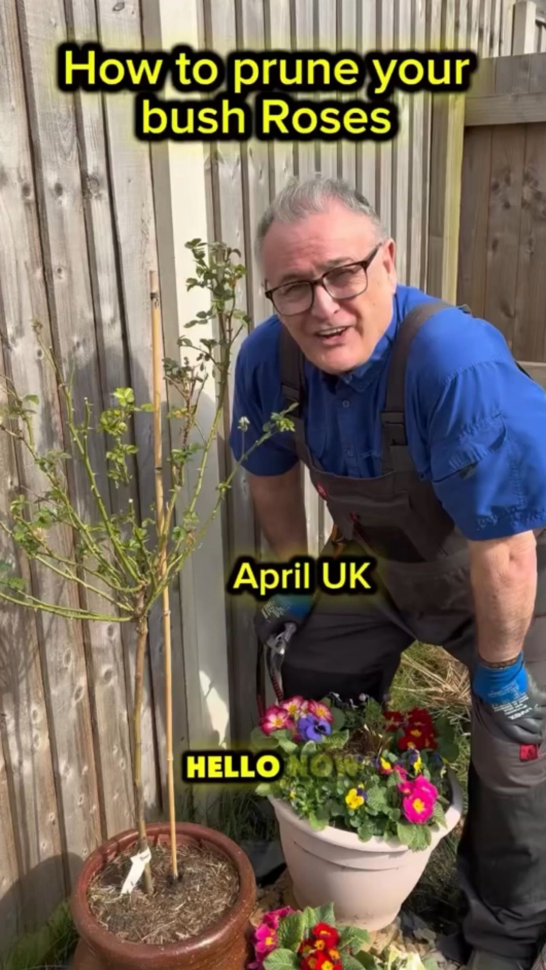 How to prune roses the right way