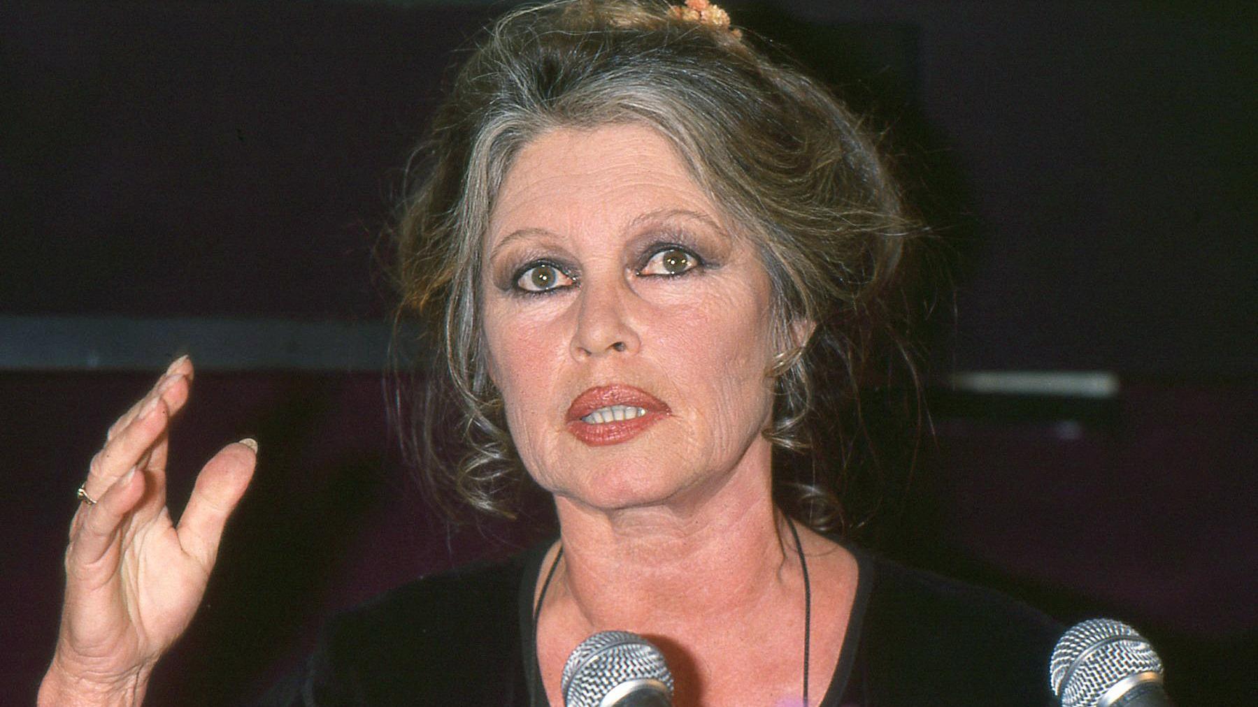 Brigitte Bardot, son fils unique Nicolas au cœur d’une rumeur ...