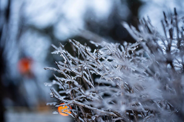 Freezing rain warning issued for parts of Quebec Tuesday