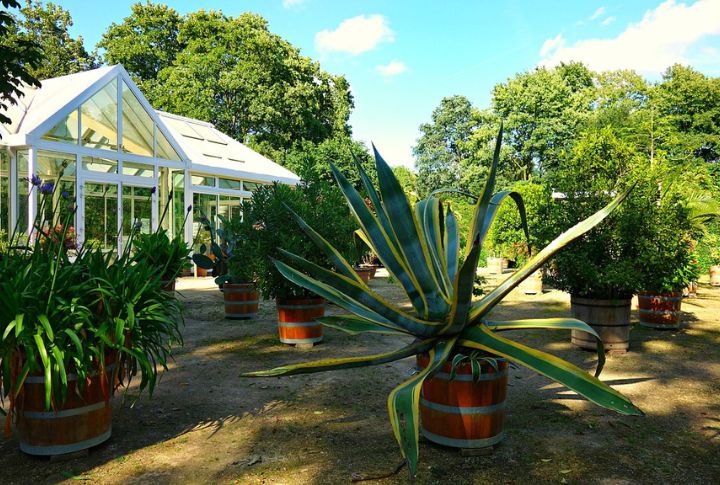 10 beautiful conservatory ideas for every style of home