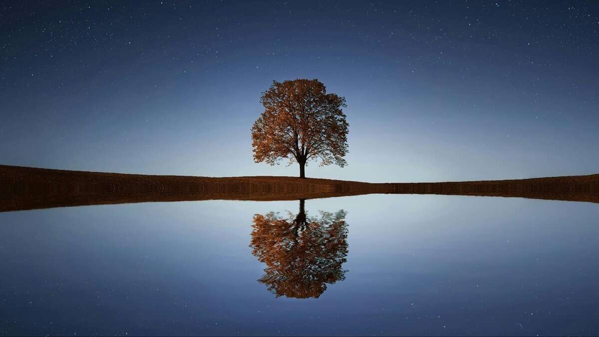 As above so below: True meaning behind the law of existence