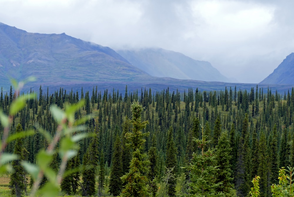 Photos of 15 breathtaking landscapes you can only see in Alaska