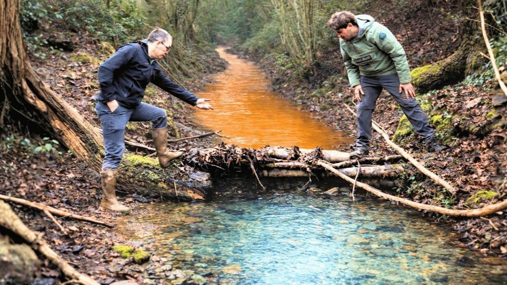 Beavers build dams that restore rivers – now people are copying them