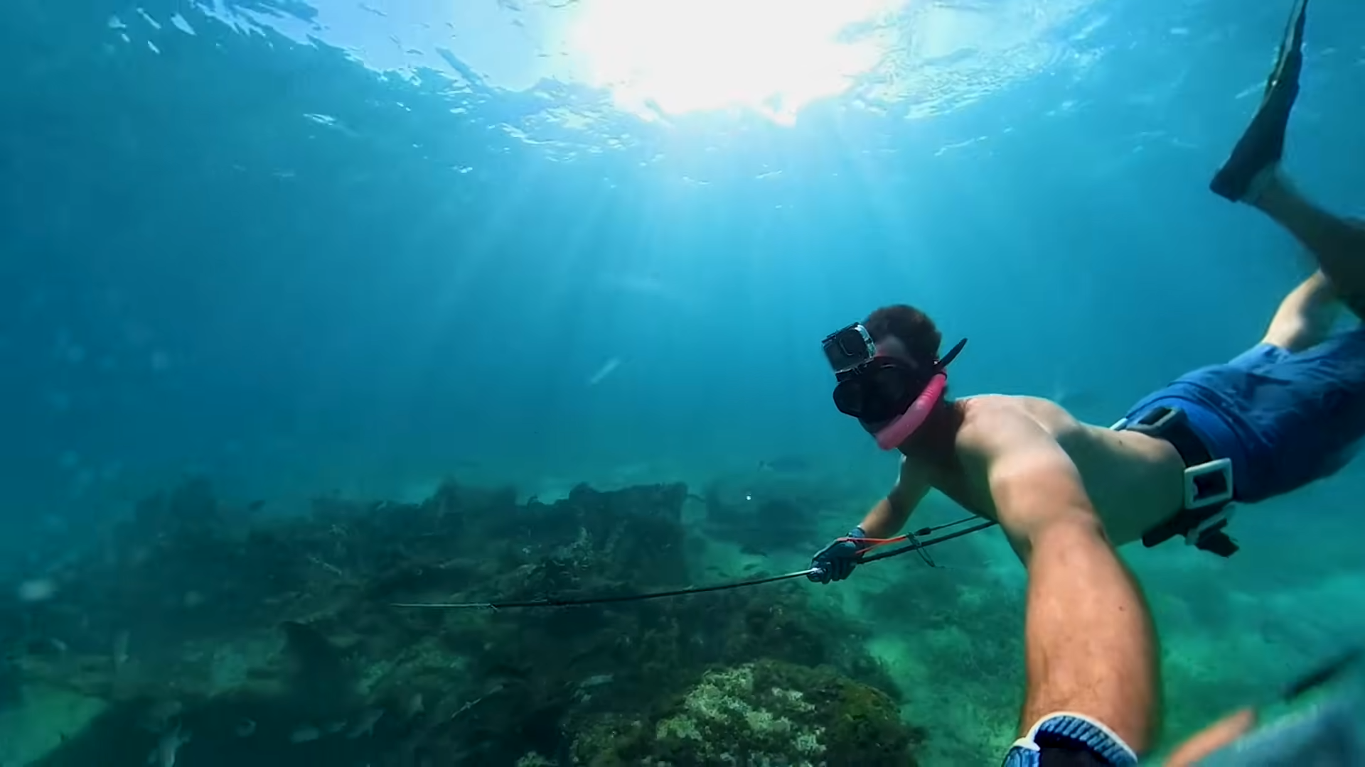 We took a new boat to the Bahamas - and found dinner fast