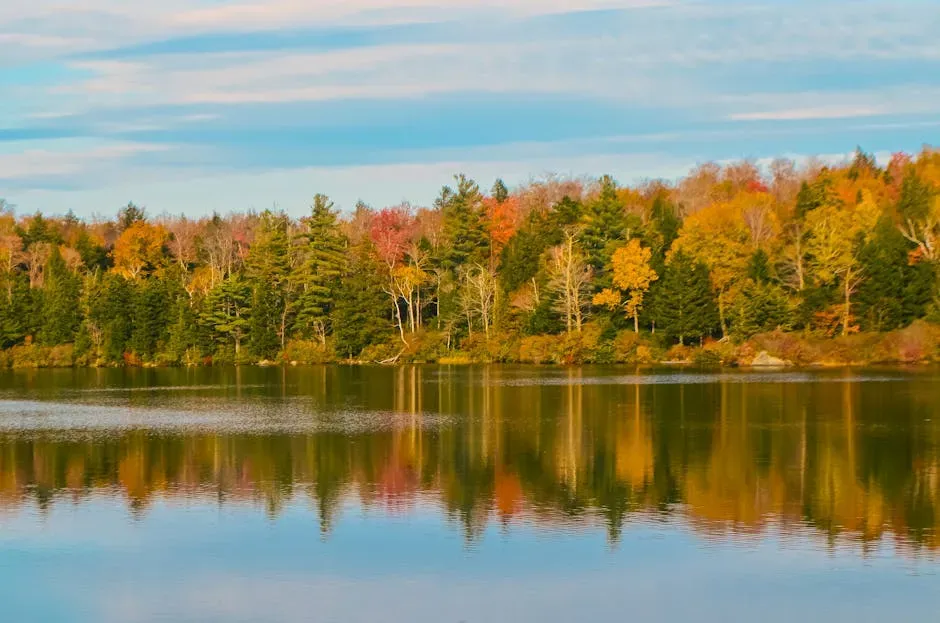 The 10 regions in the US that could thrive despite climate change