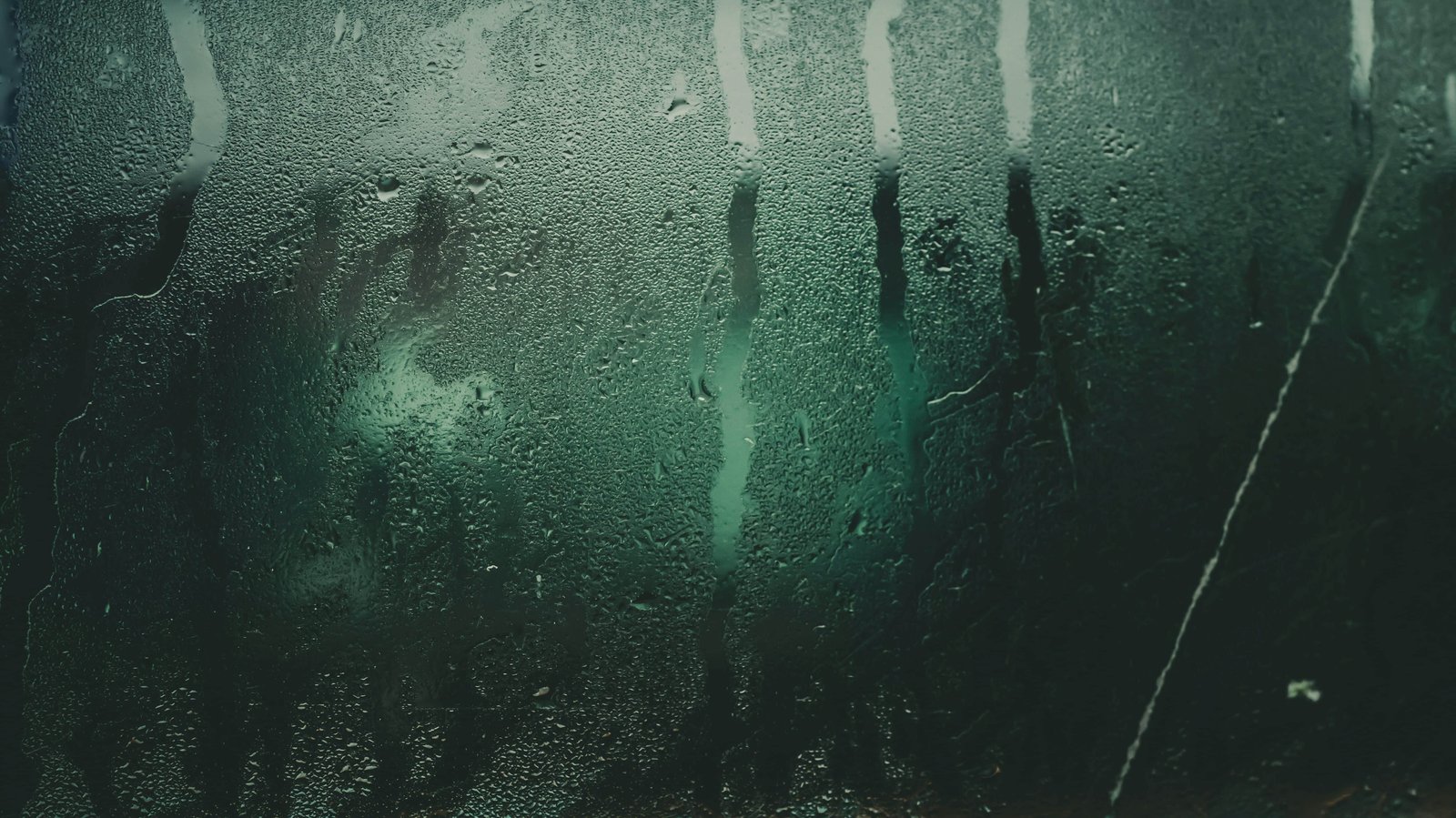 15 practical steps to reduce indoor humidity problems during winter ...
