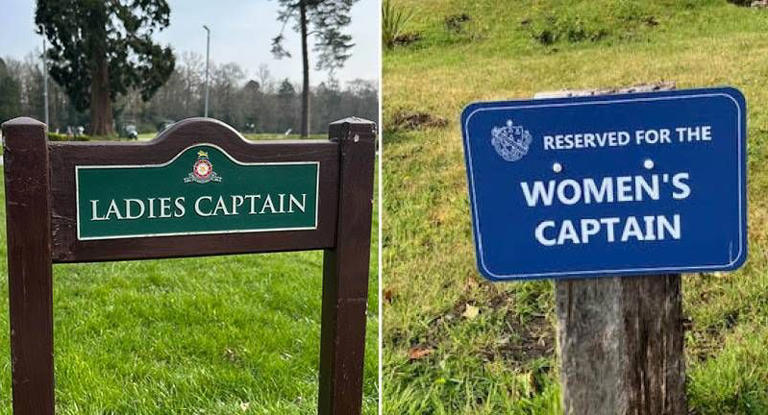 'It suggests compliance and conformity' - Why the term 'ladies' is ...