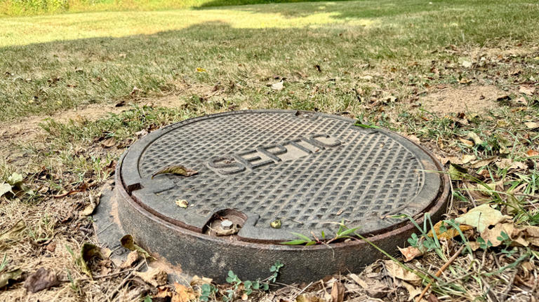 Hide a septic tank lid with a stunning landscape idea