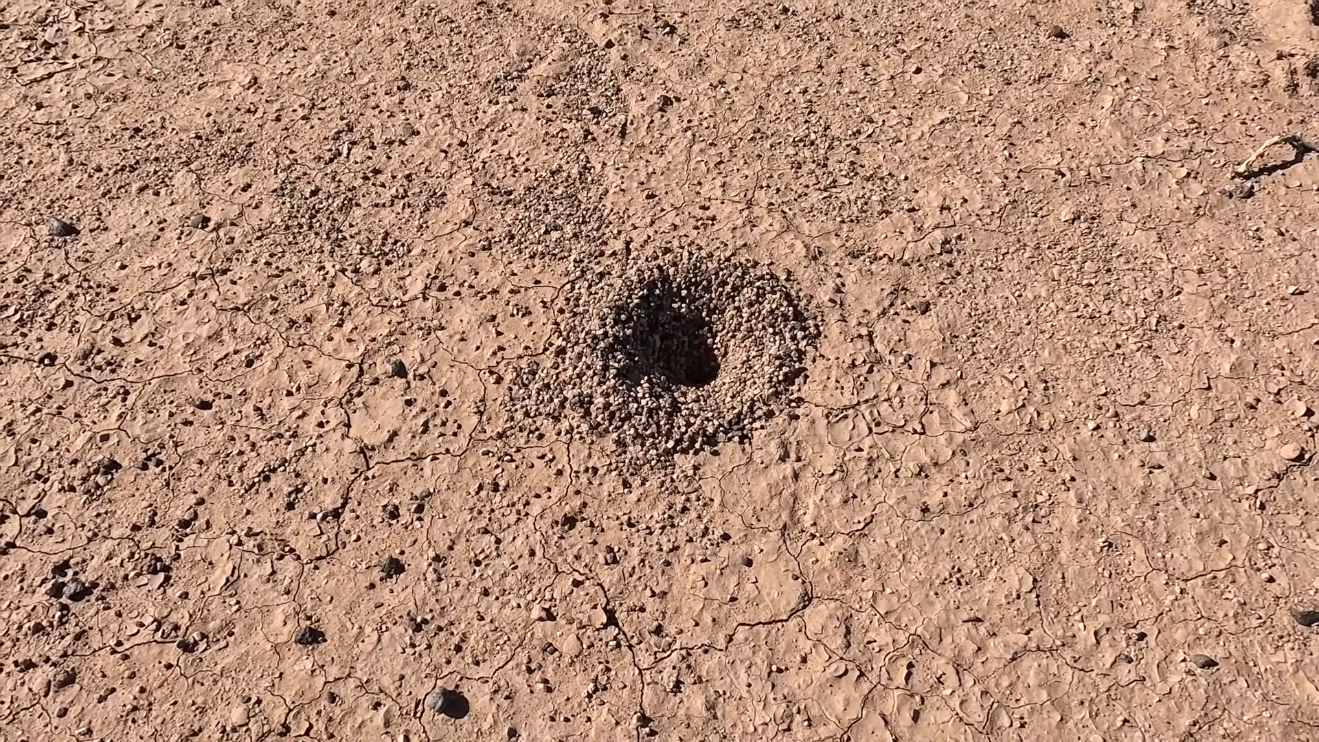 A portal to another universe in the New Mexico desert
