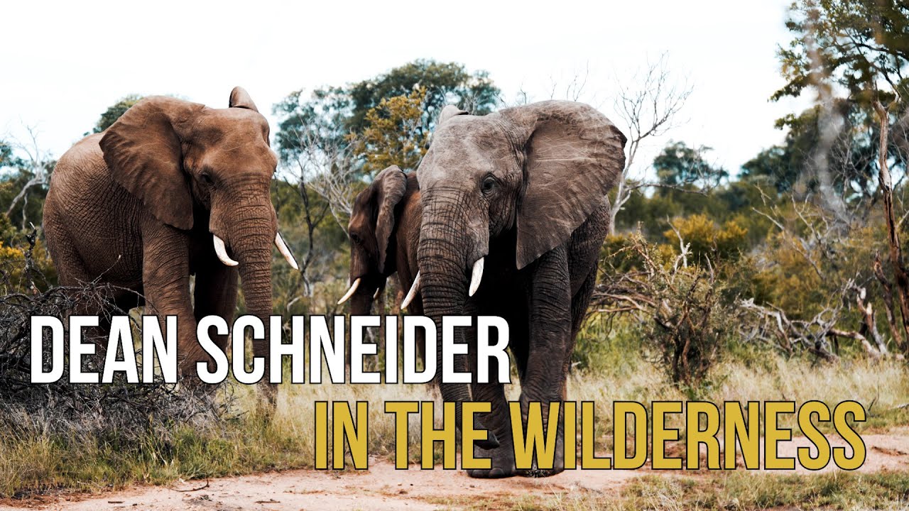 The lessons I learned from the wilderness