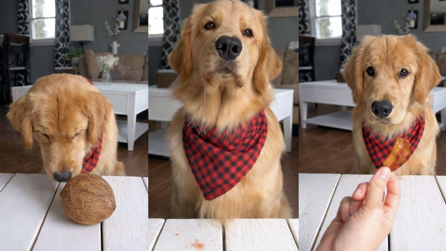 Tucker tries more unusual foods