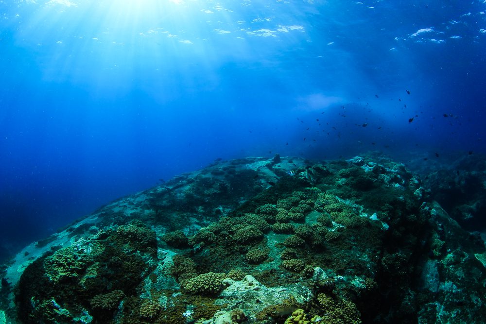 14 crazy facts about Earth you never learned in school