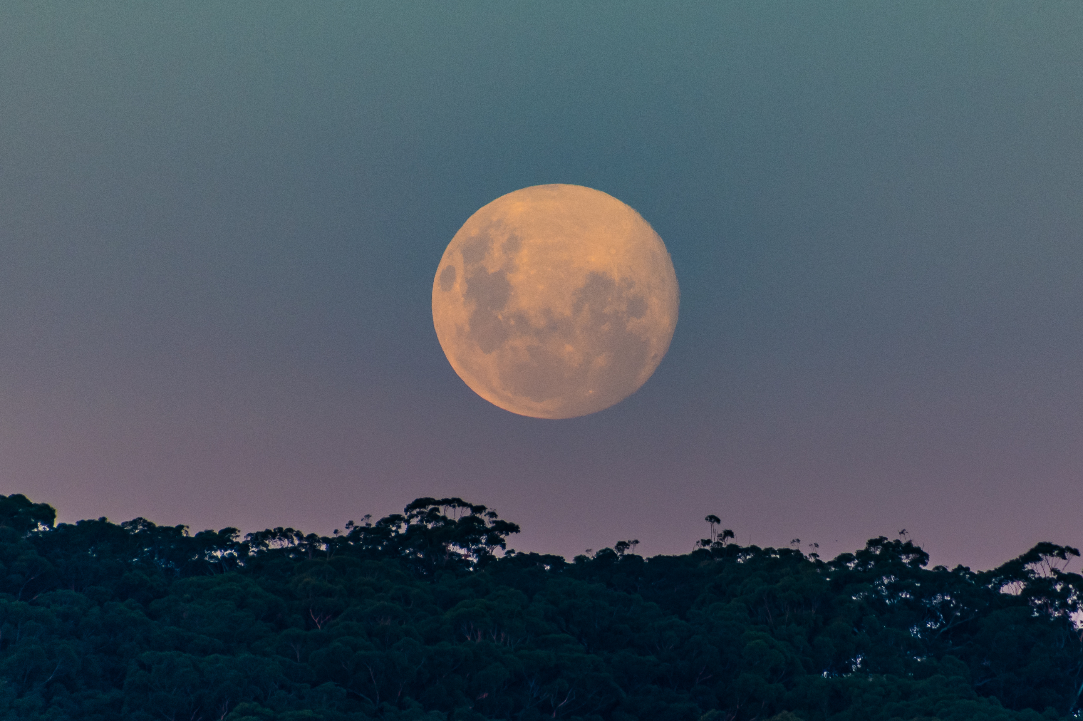 Pink moon 2026: when to see April’s full moon and what it means