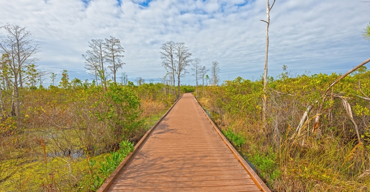 13 Georgia nature getaways with marsh trails and cool shade