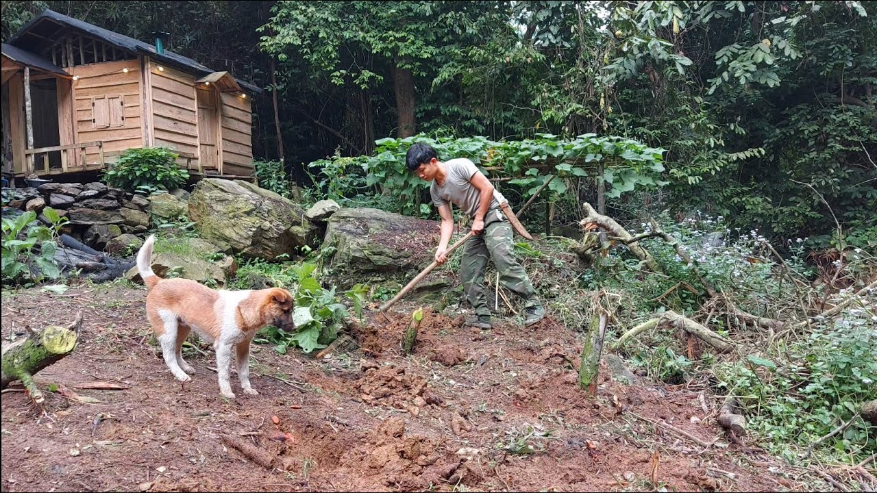 200 days of bushwalking and off-grid living