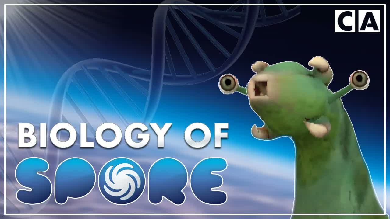What is spore biology and how does it work?