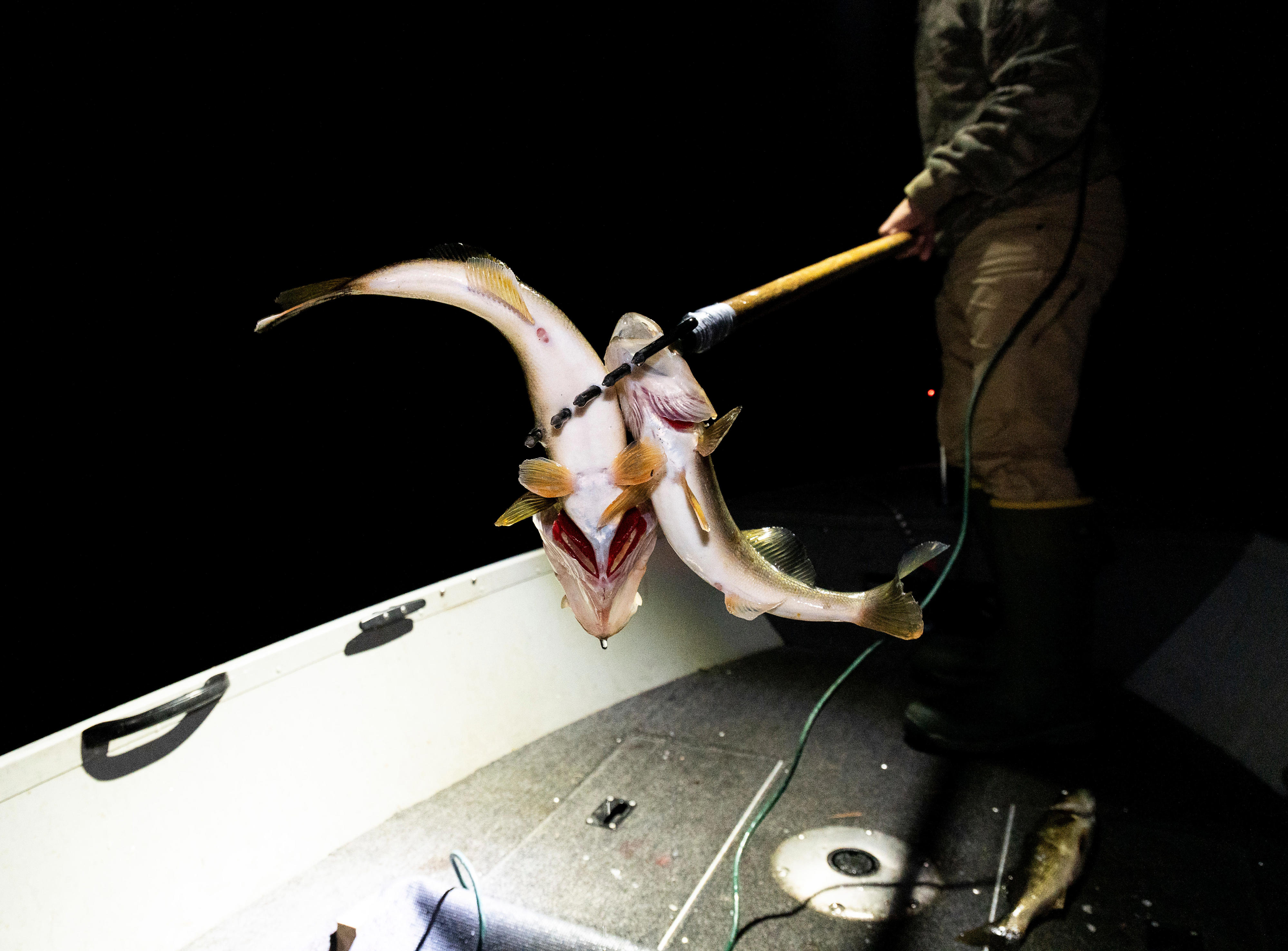 Ojibwe will comply with court order to halt ban on non-tribal fishing