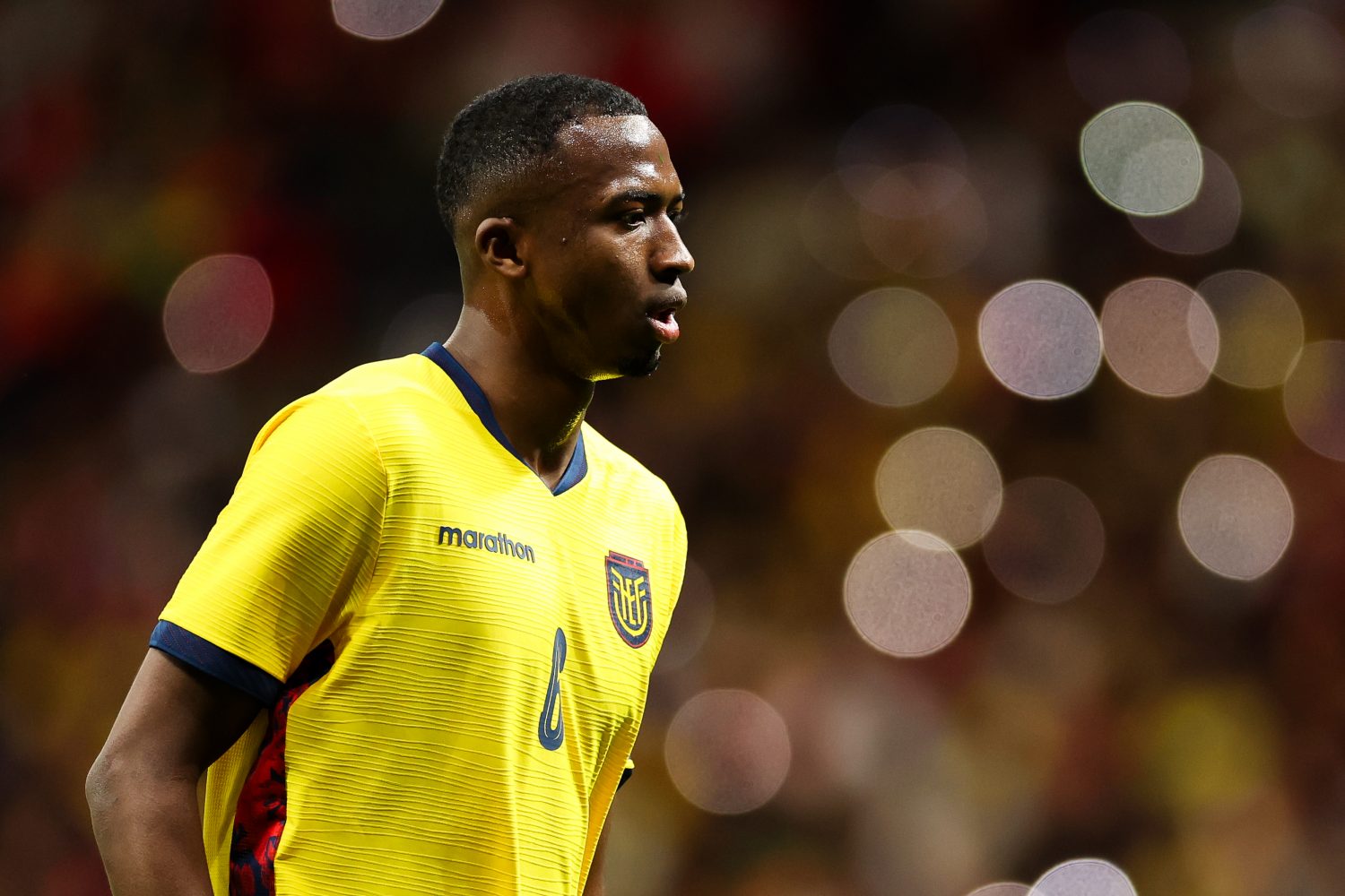 Netherlands vs Ecuador live stream: Where and how to watch the match?