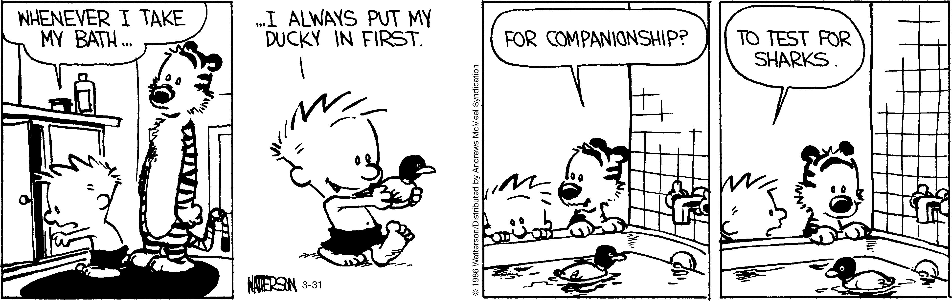 Calvin and Hobbes by Bill Watterson