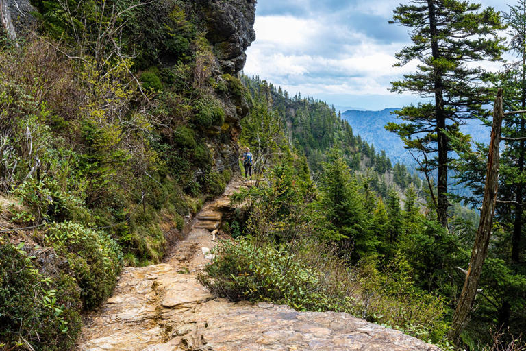 Woman dies after falling 60ft in Great Smoky Mountain National Park