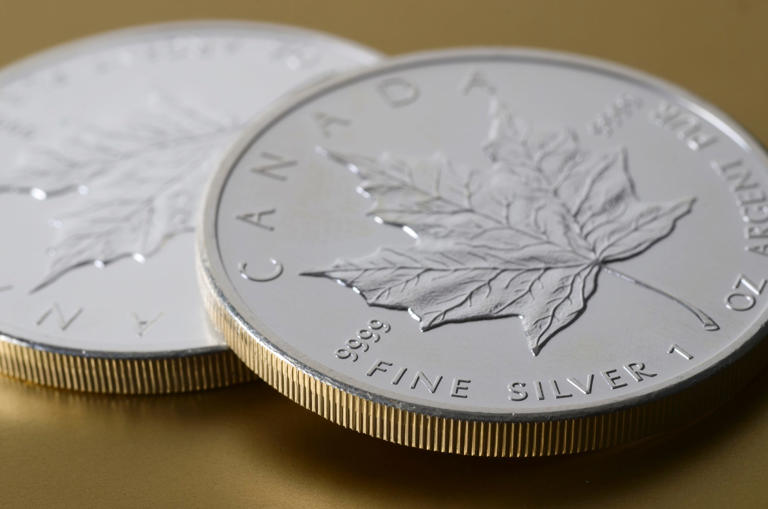 Types of silver coins for investment: Popular coins and what to know