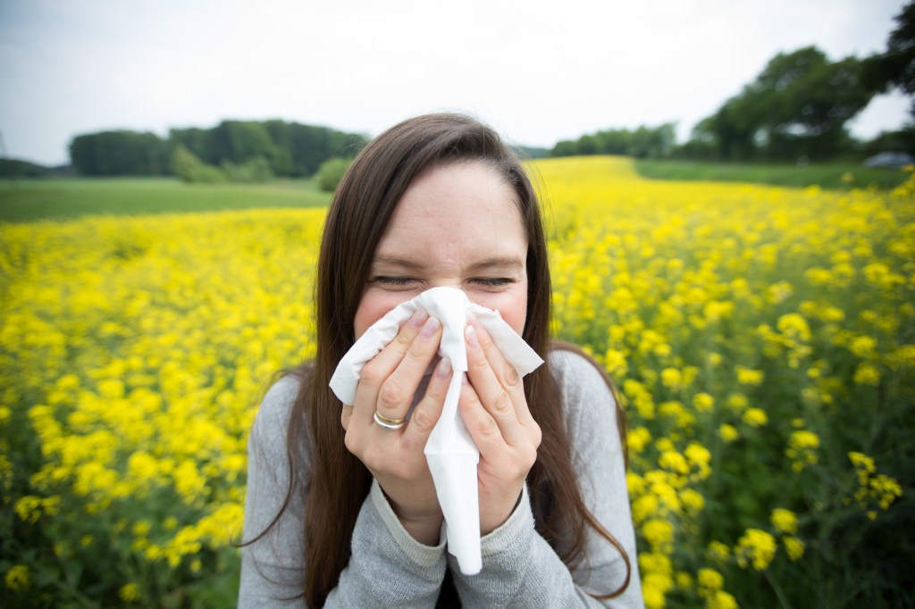 Map reveals top 20 worst areas for pollen allergies in 2026