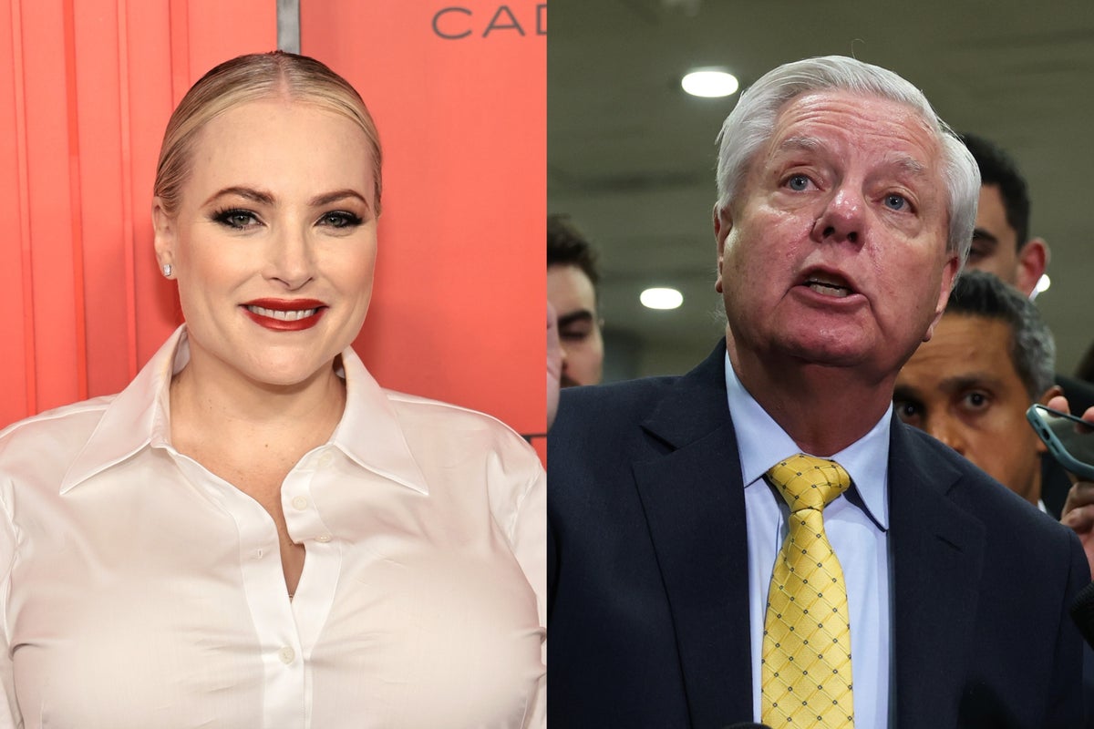 Meghan McCain calls out family friend Lindsey Graham over Disney trip