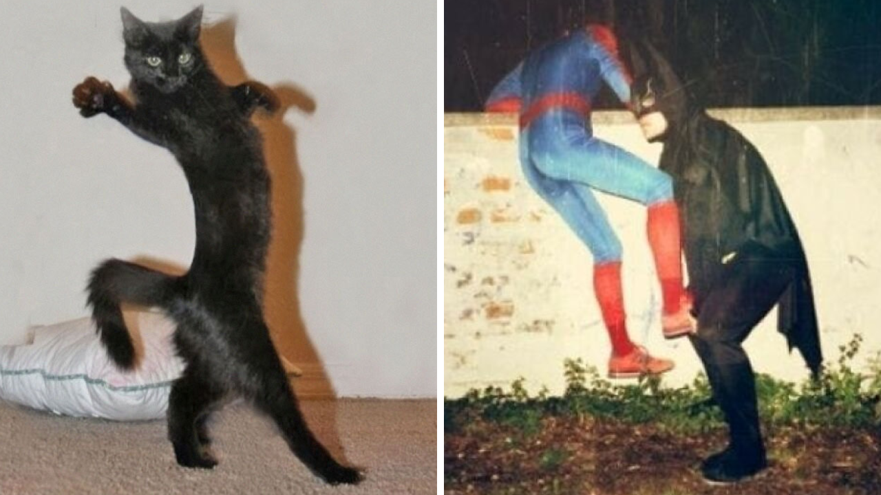 29 photos guaranteed to make you laugh