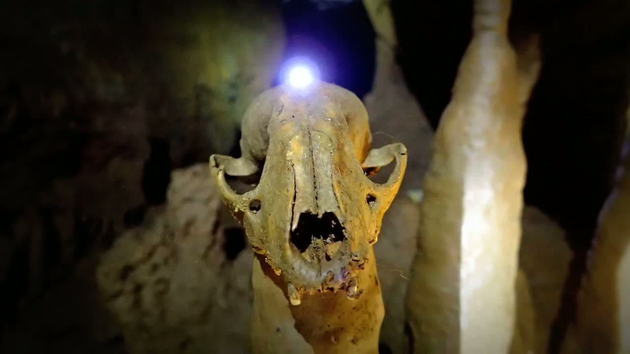 They opened a hole by the road - then realized it led to a hidden cave