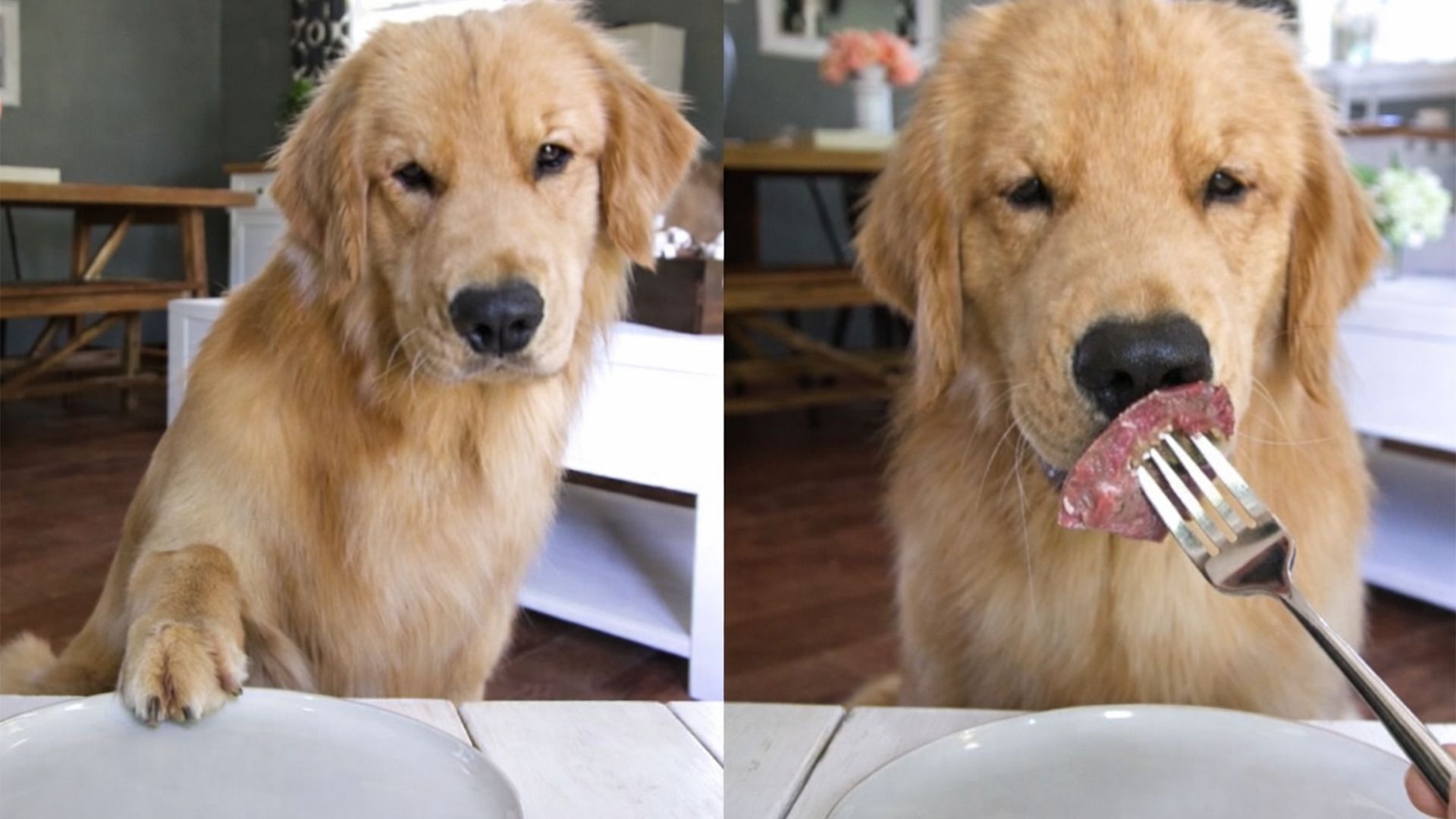 This food has Tucker thinking