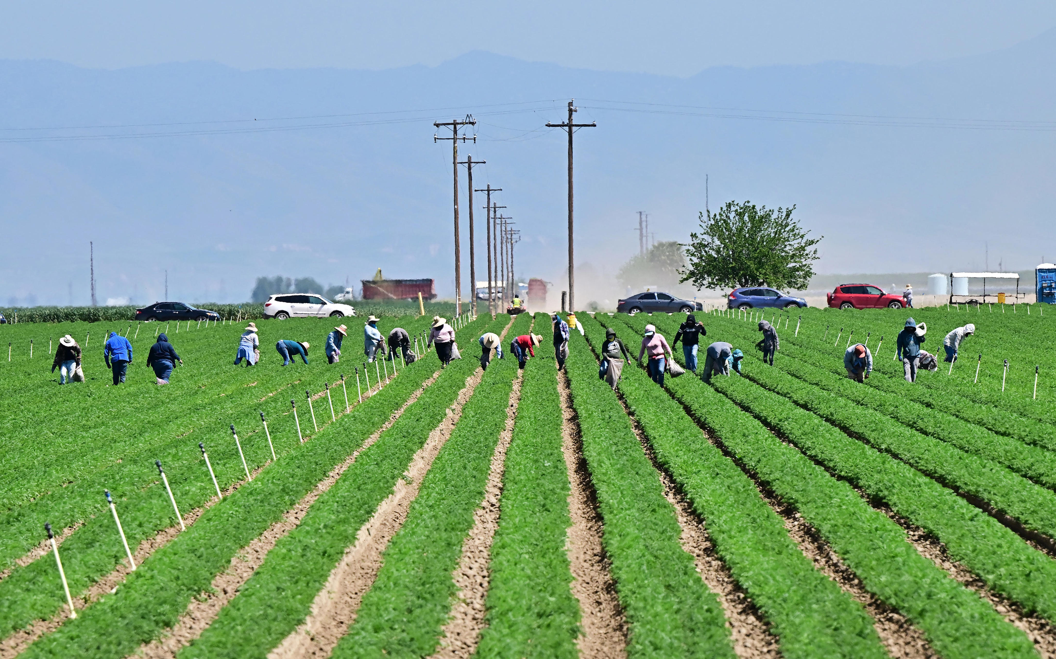 Millions of Californians may have been exposed to PFAS, study finds