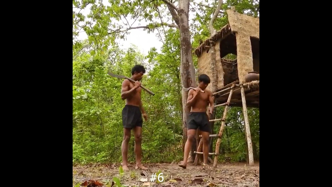 Watch this jungle house appear from nothing!