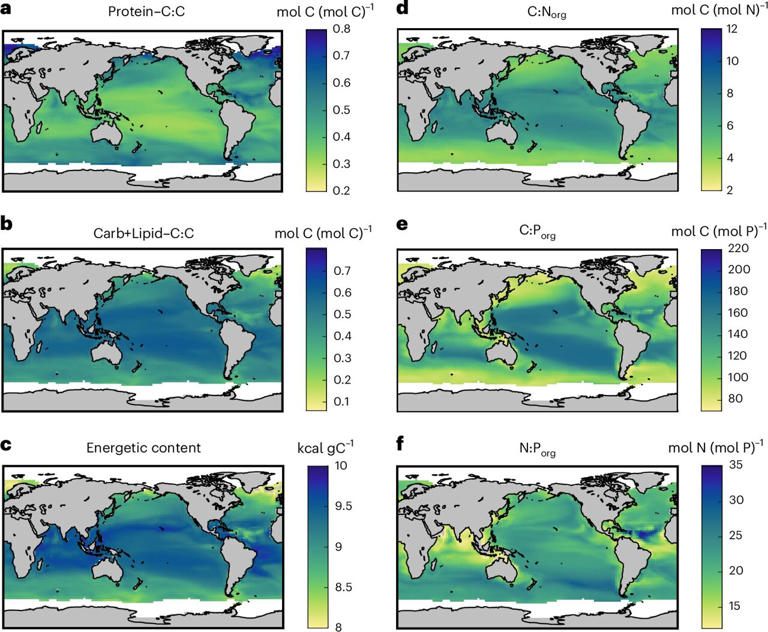 Climate change may produce 'fast-food' phytoplankton