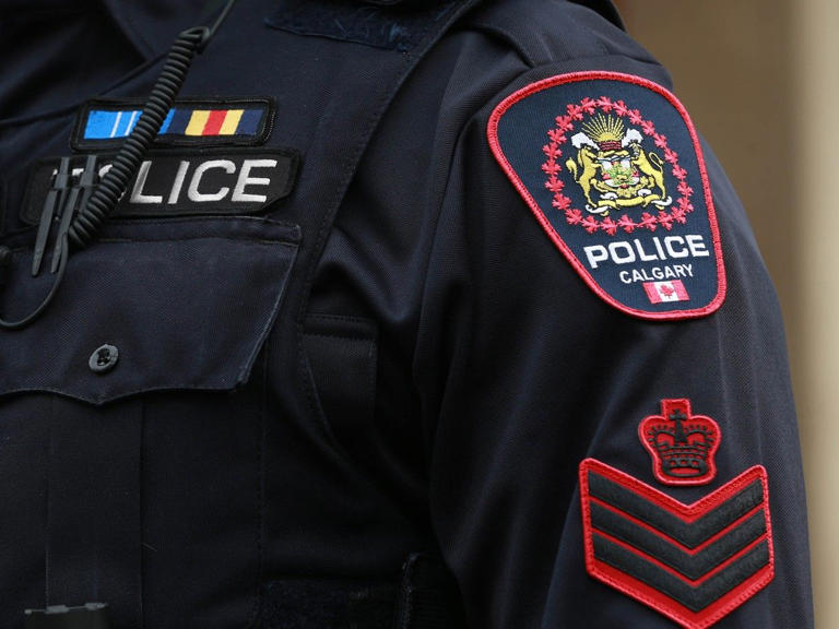 Police seek suspects after car set ablaze in Saddle Ridge driveway