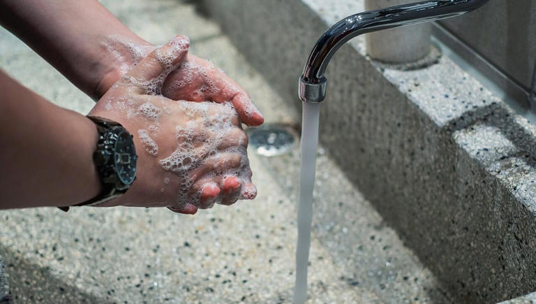 Wash your hands immediately after handling these 10 items