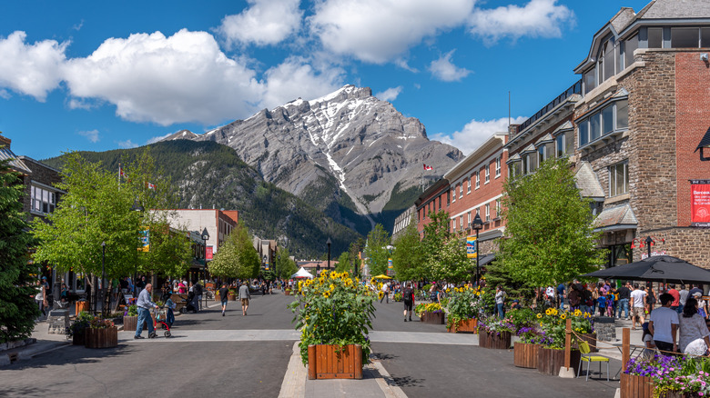 Banff's most breathtaking Cascade Mountain view lies in the heart of ...
