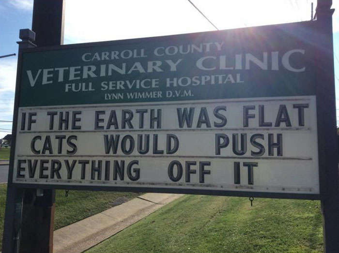 29 funny cat jokes vet clinics put up on their signs