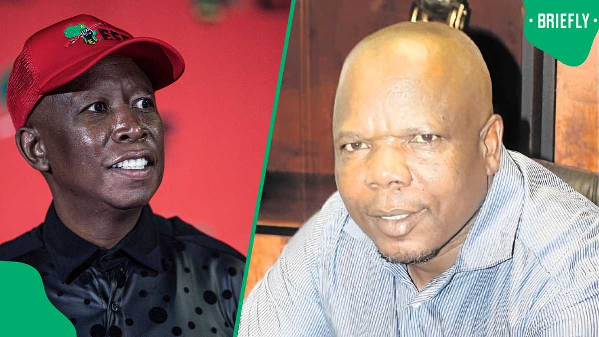 Jotham Msibi’s chef wants to testify about Malema at Madlanga ...