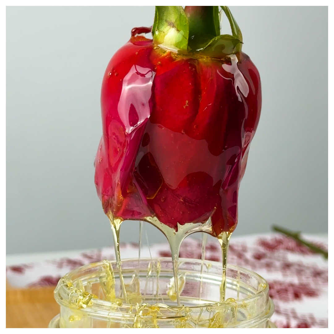 Cómo preservar hermosas rosas🌹