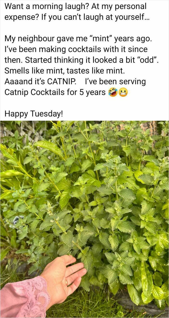 53 funny and weird posts from people who overshare on Facebook