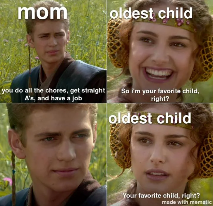 28 memes that perfectly capture the oldest sibling experience