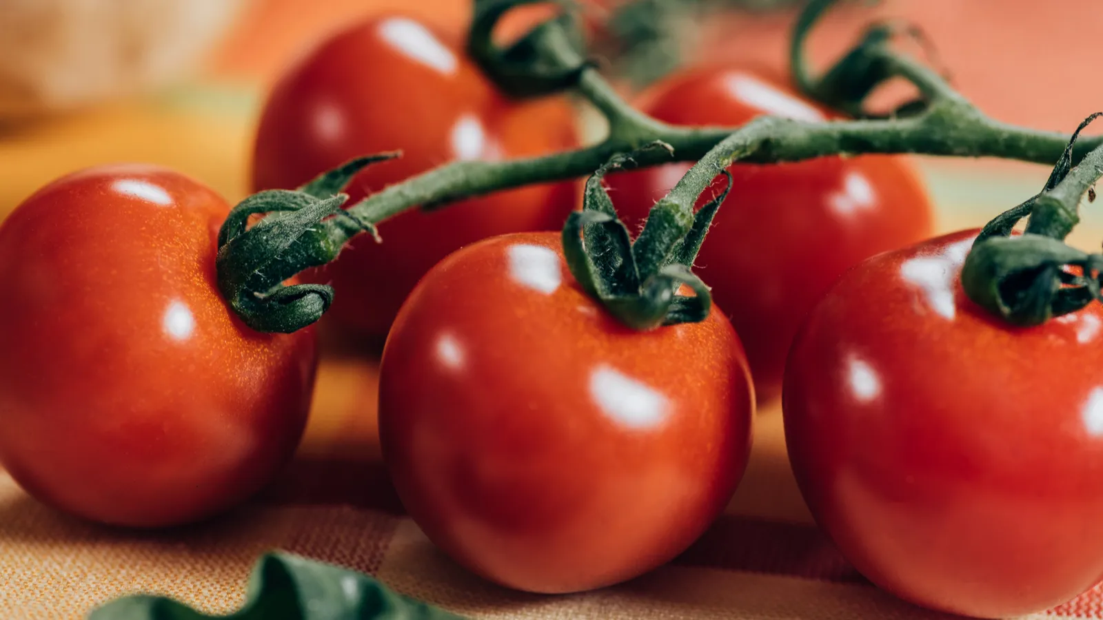I spoke to 3 farmers, and they all warned me about this tomato mistake
