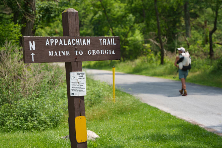 Woman dies after falling 60ft in Great Smoky Mountain National Park