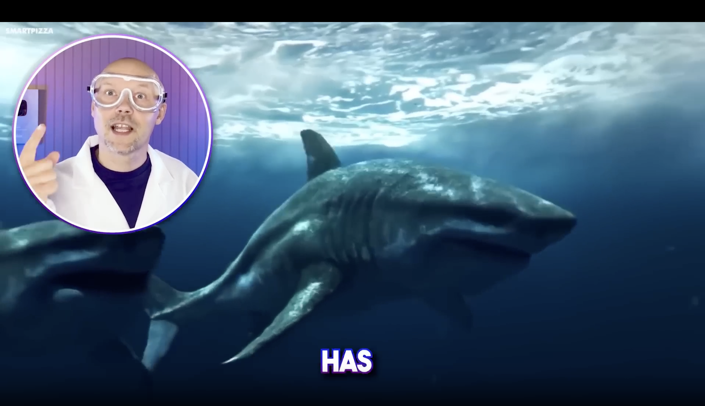 Why is the ocean so scary?🌊